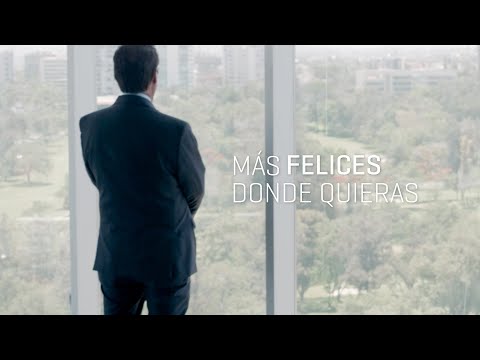 Contadores más felices / Día del CONTADOR