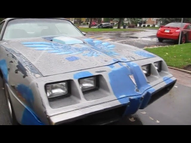 1979 Pontiac Trans Am ( VIDEO ) | Classic Cars | Laval / North Shore ...