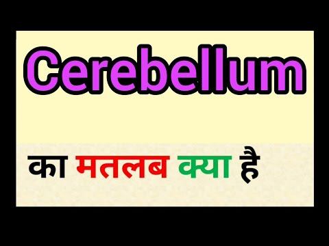 Cerebellum meaning in hindi | cerebellum ka matlab kya hota hai | word meaning English to hindi