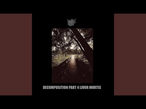 Livor Mortis