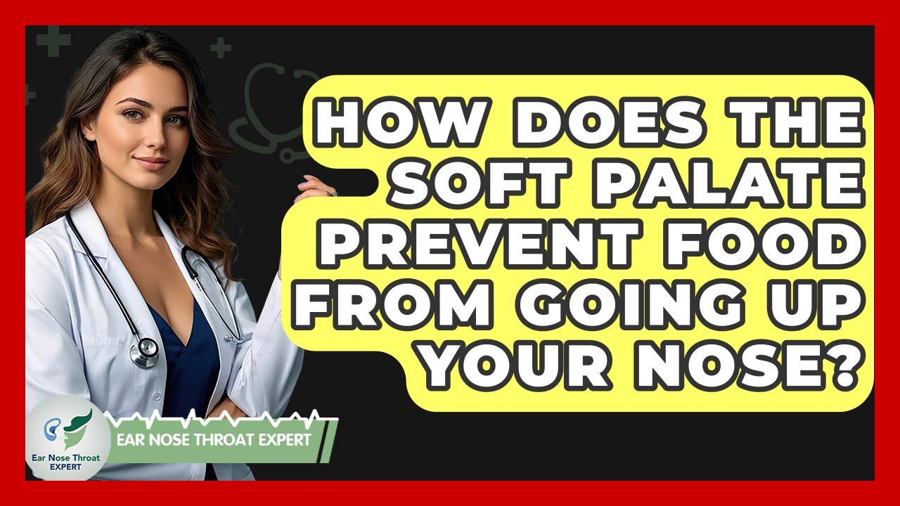 How Does The Soft Palate Prevent Food From Going Up Your Nose? - Ear Nose Throat Expert
