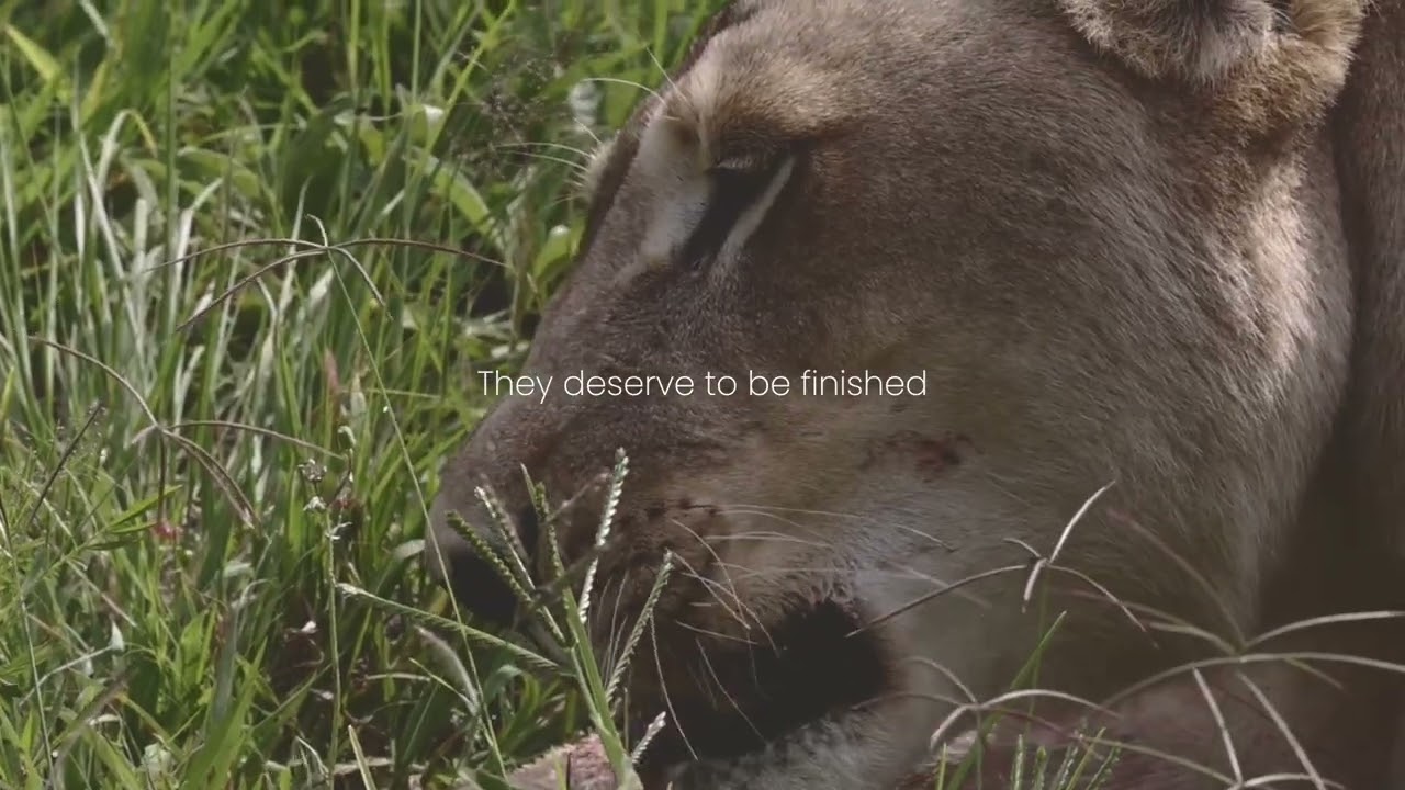 Vanta Studio | Production • Printing • Support | Turning images into finished work | January 28 2026