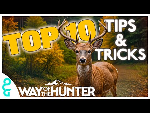 Top 10 Tips & Tricks In Way of the Hunter