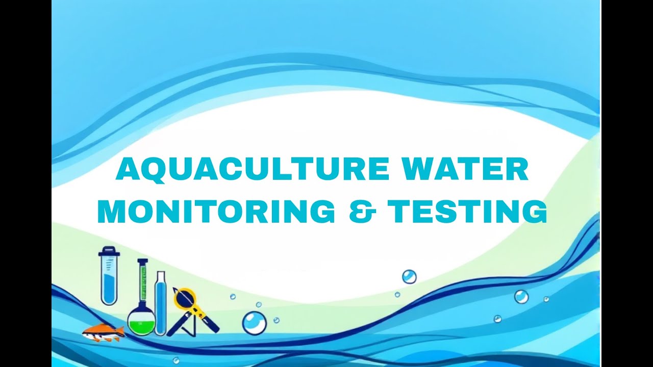 Aquaculture Water Quality Monitoring & Testing #aquaculture  #tilapiafarming #fishfarming