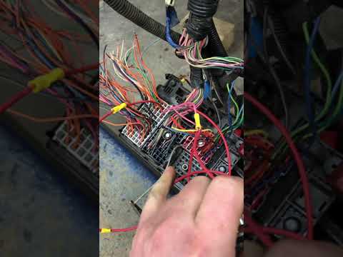 Ls junkyard stock box wire up quickly!!!