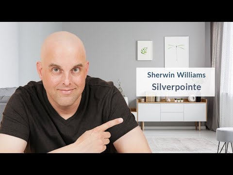 Sherwin Williams Silverpointe Color Review