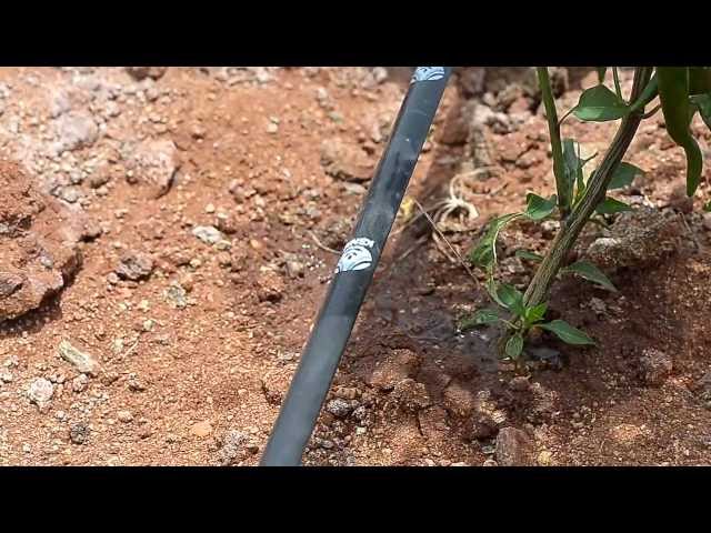 Drip Irrigation Tubes - Micro Spray Tube Manufacturer from Coimbatore