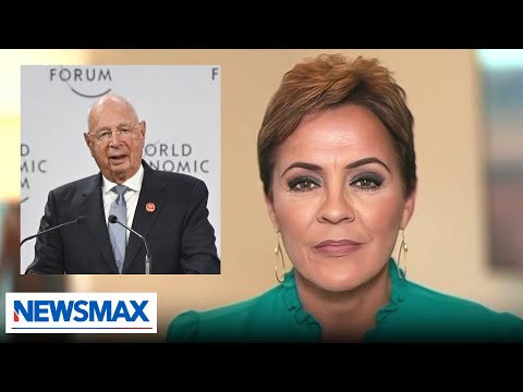 Kari Lake reacts to Klaus Schwab investigation: 'Not shocked at all'