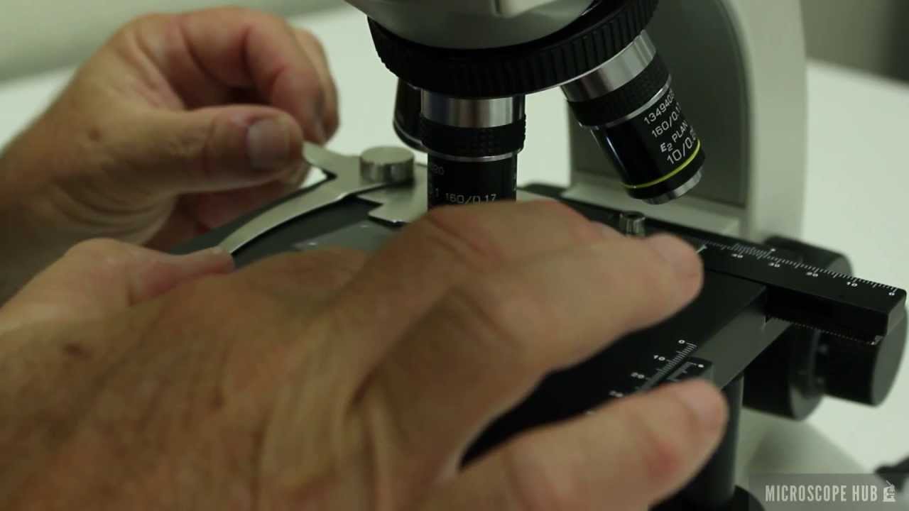 DM300 Educational Compound Microscope Overview