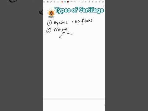 Types of Cartilages | Hyaline cartilage | Fibrous | Elastic | White fibrous | Calcified cartilage
