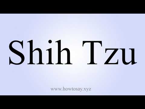 How to Say Shih Tzu