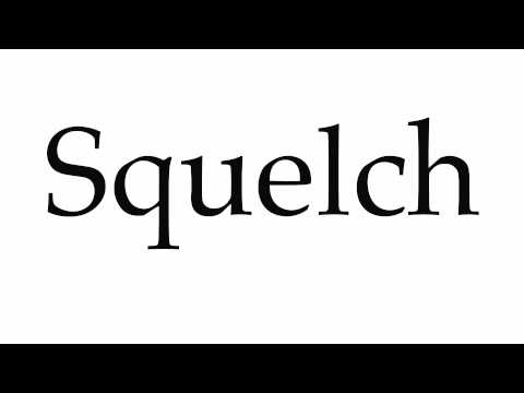 How to Pronounce Squelch