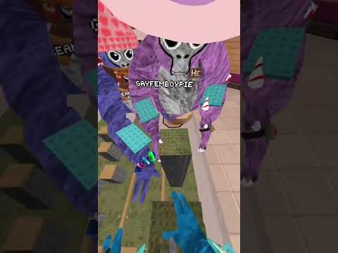 I joined code furry and found some weird things 2025 #gorillatag