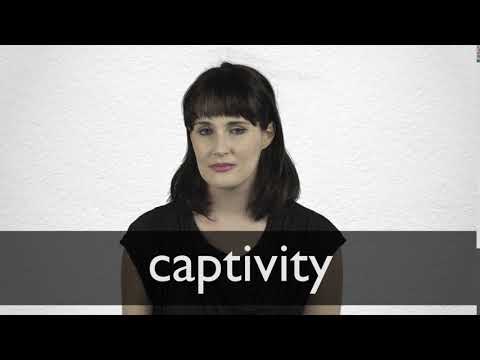 CAPTIVITY definition in American English | Collins English Dictionary