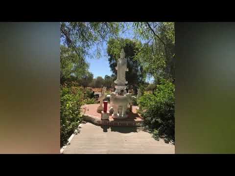 Alice Vietnamese Restaurant, Alice Springs, Northern Territory- Best Restaurants in Alice Springs