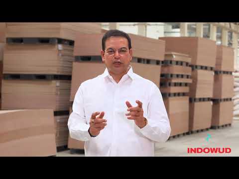 Plywood Board - Indowud NFC Boards WPC PVC Boards Manufacturer from Chennai