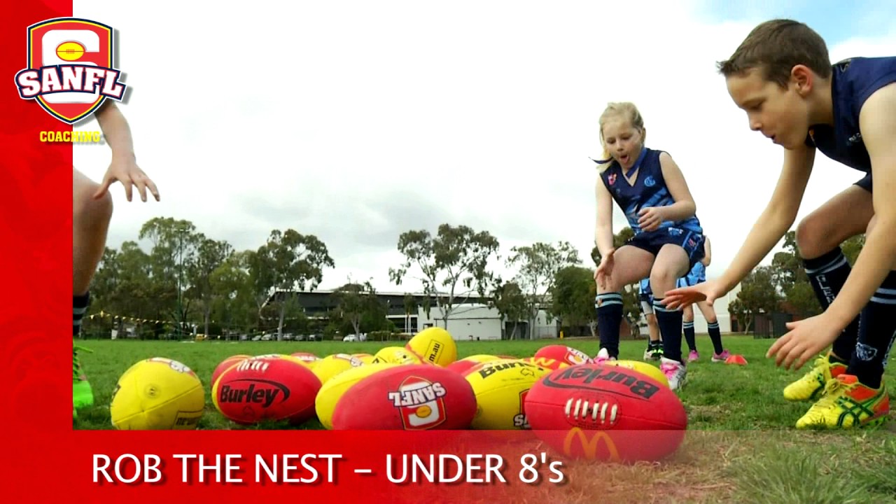 ROB THE NEST - Under 8's