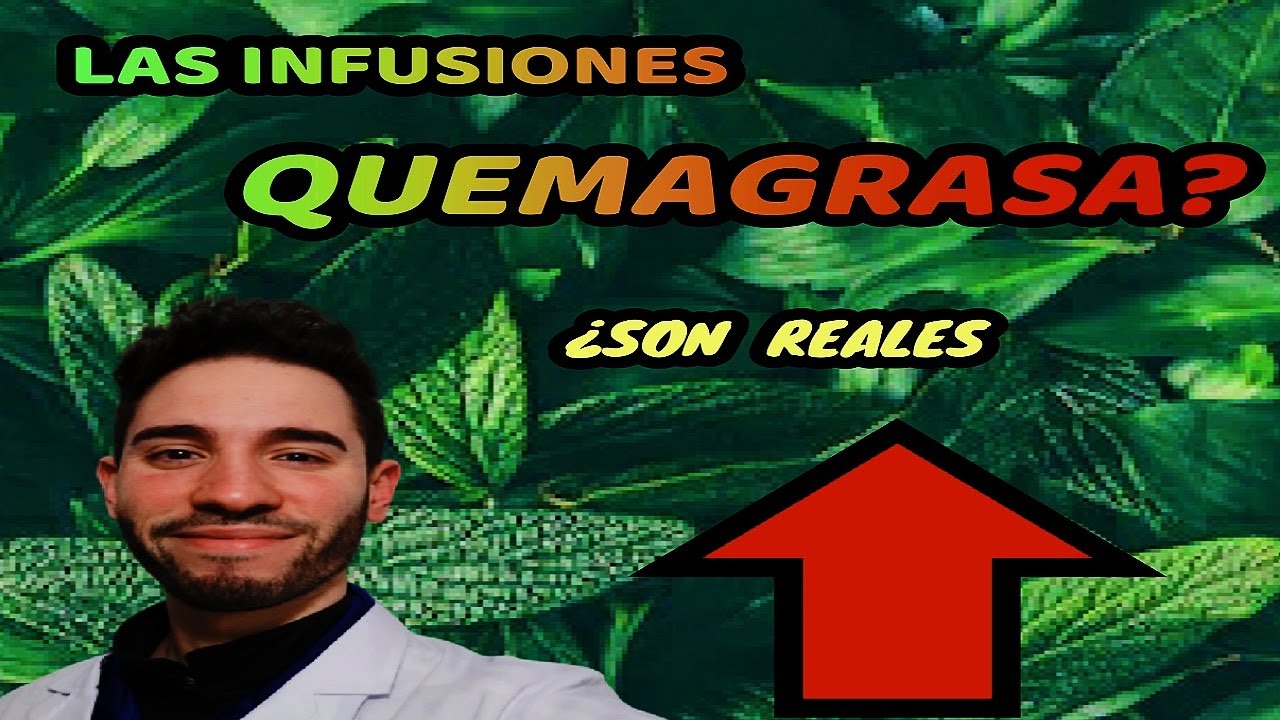 ¿Son REALES Las Infusiones QUEMA GRASAS? [ENTÉRATE] 😾