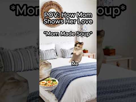 CAT MEMES 🐱 HOW MOM SHOWS HER LOVE #relatable #cat #wholesome #family #shorts
