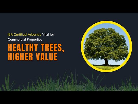 The Vital Role of ISA-Certified Arborists in Commercial Tree Care