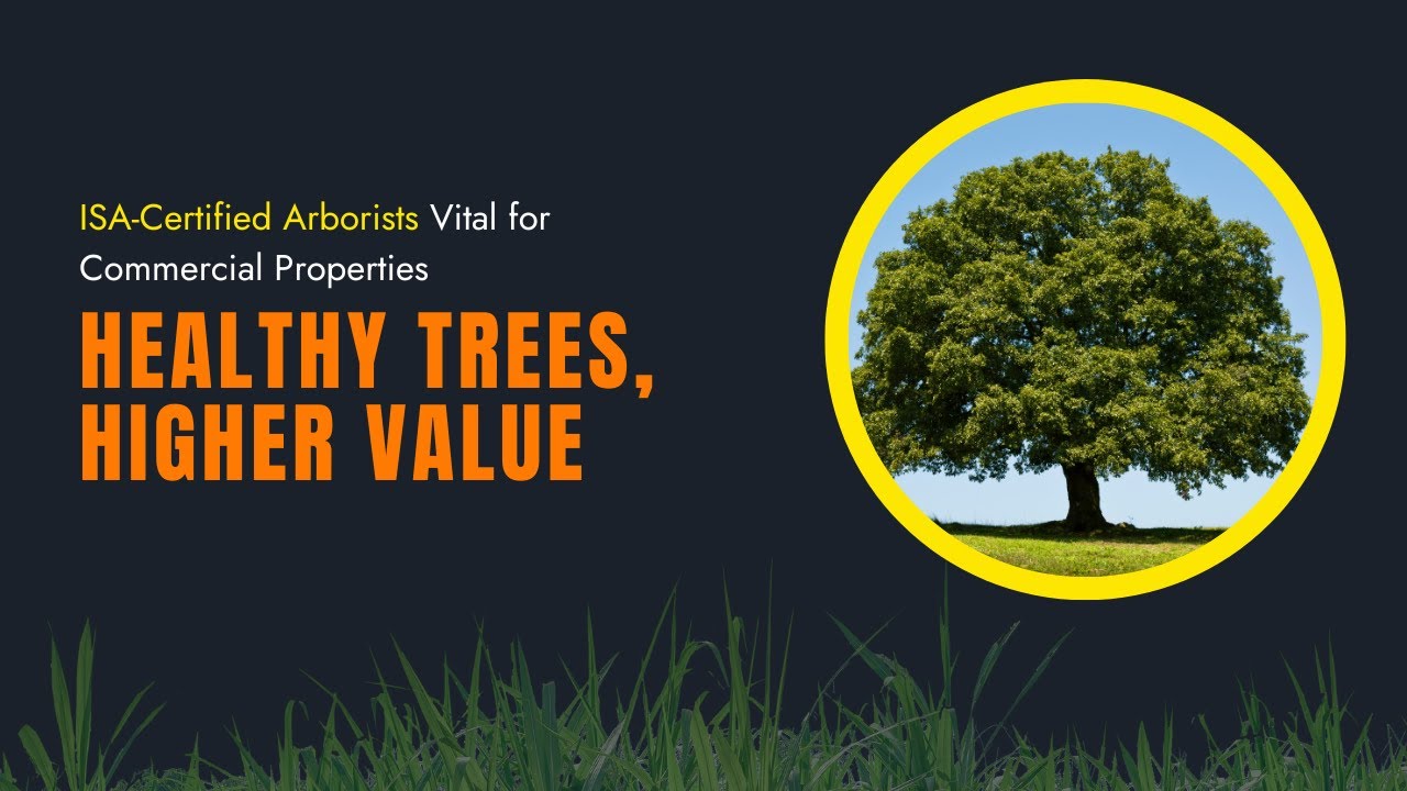 The Vital Role of ISA-Certified Arborists in Commercial Tree Care