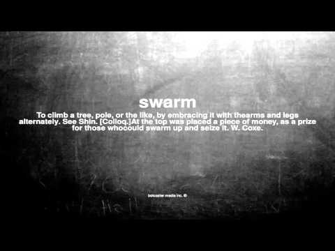 What does swarm mean
