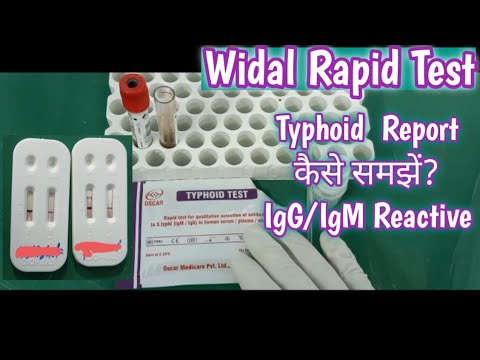 Potassium Chloride Injection - Kcl Injection Latest Price ...