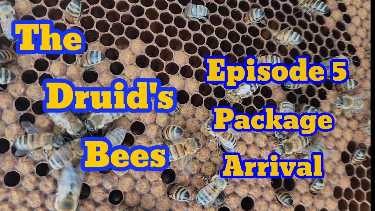 The Druid's Bees. Episode 5, Package Arrival/ Installation