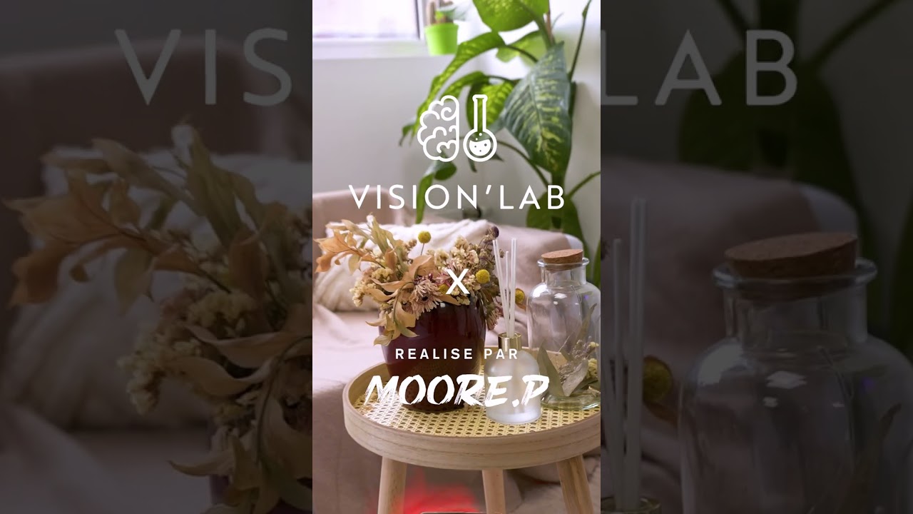 Vision Lab - Introduction