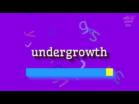 How to say "undergrowth"! (High Quality Voices)
