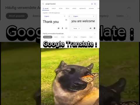 This is not what I asked for🦋 Google Translate🔥 #english #google #funny #translate #fypシ゚ #shorts