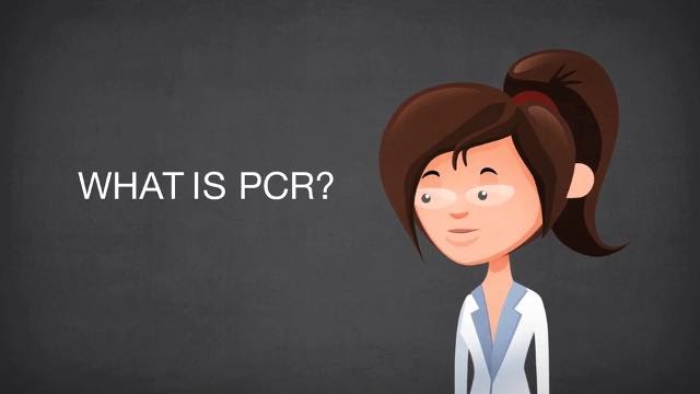 Introduction to PCR