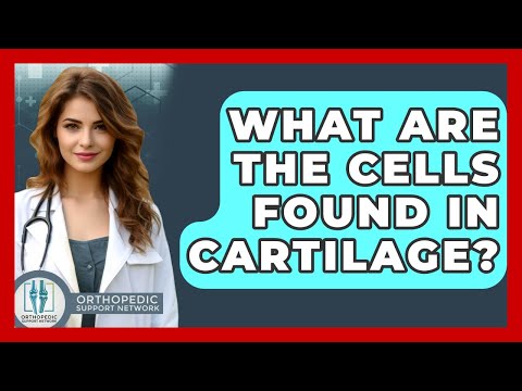 What Are The Cells Found In Cartilage? - Orthopedic Support Network