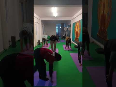 Utkrisht Yoga Studio BCS #yogajunction #yoga