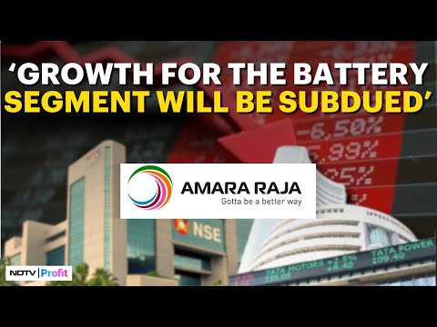 Long-Term Outlook On Amara Raja | Should You Sell The Shares?