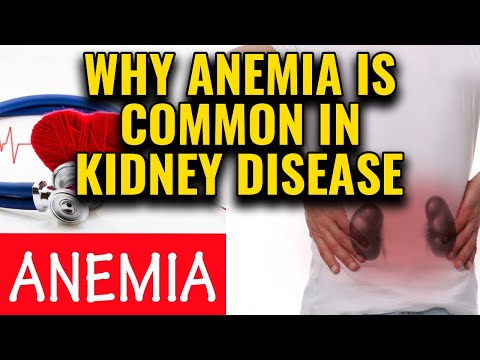 Types Of Anemia | Why Anemia Is Common In Kidney Disease | Why Anemia Is Big Deal For CKD