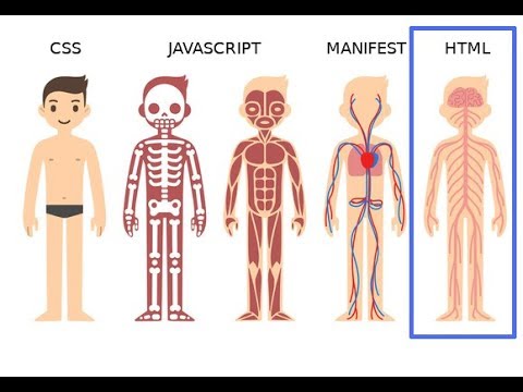What is HTML? The brain of KaiOS apps - OmniSD in deep - BananaHackers