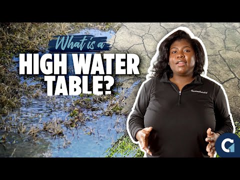 High Water Table: What It Is & How It Affects Your Home