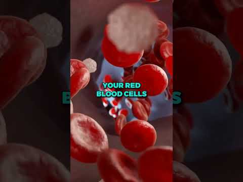 Blood Analysis 101: What Happens When Your Blood is Spun in a Vial?