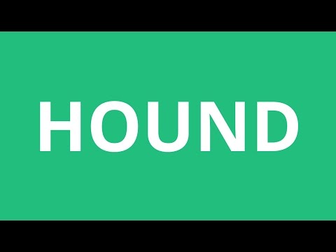 How To Pronounce Hound - Pronunciation Academy