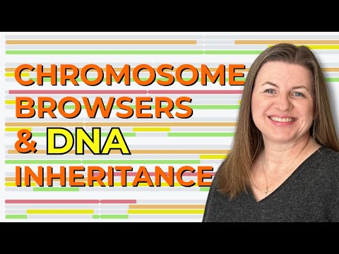 DNA Inheritance Simplified: What Chromosome Browsers Reveal!