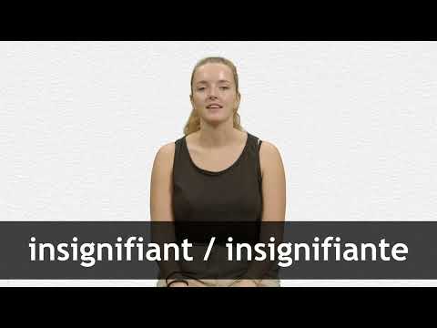English Translation of “INSIGNIFIANT” | Collins French-English Dictionary