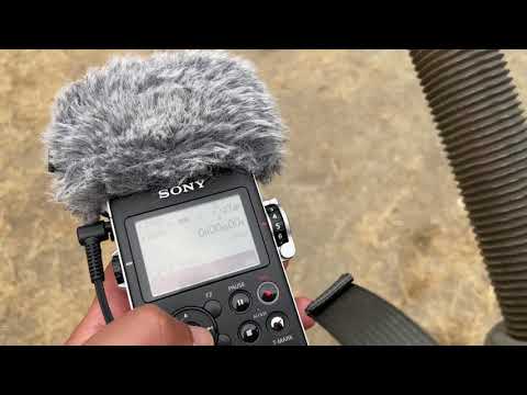 Recording Handling Noise of a D100 on a Wire at Tolt MacDonald Suspension Bridge