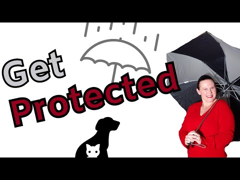 Insurance for Pet Sitting Businesses