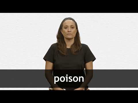 English Translation of “POISON” | Collins French-English Dictionary