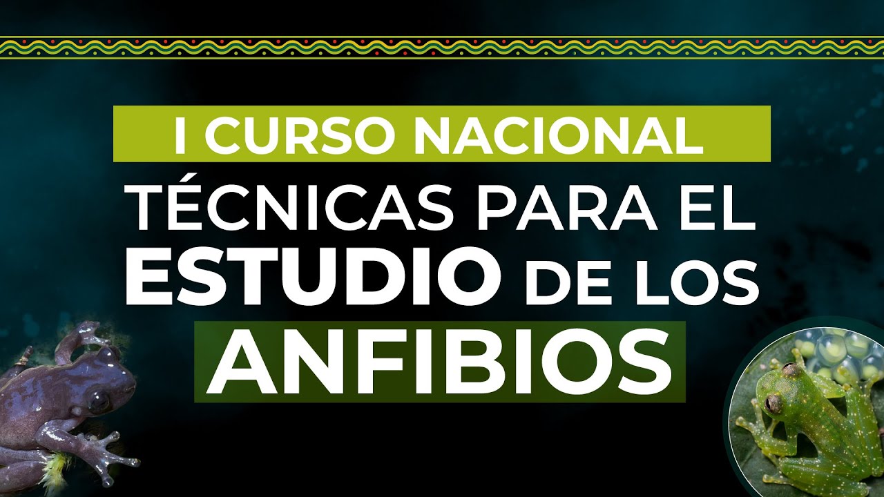 I Curso de Técnicas para el Estudio de los Anfibios en Colombia