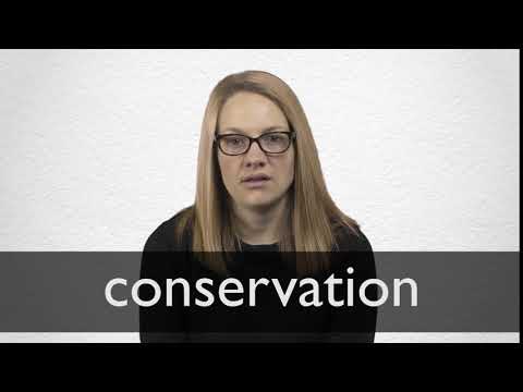 How to pronounce CONSERVATION in British English