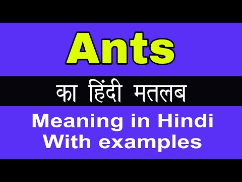 Ants Meaning in Hindi/Ants का अर्थ या मतलब क्या होता है