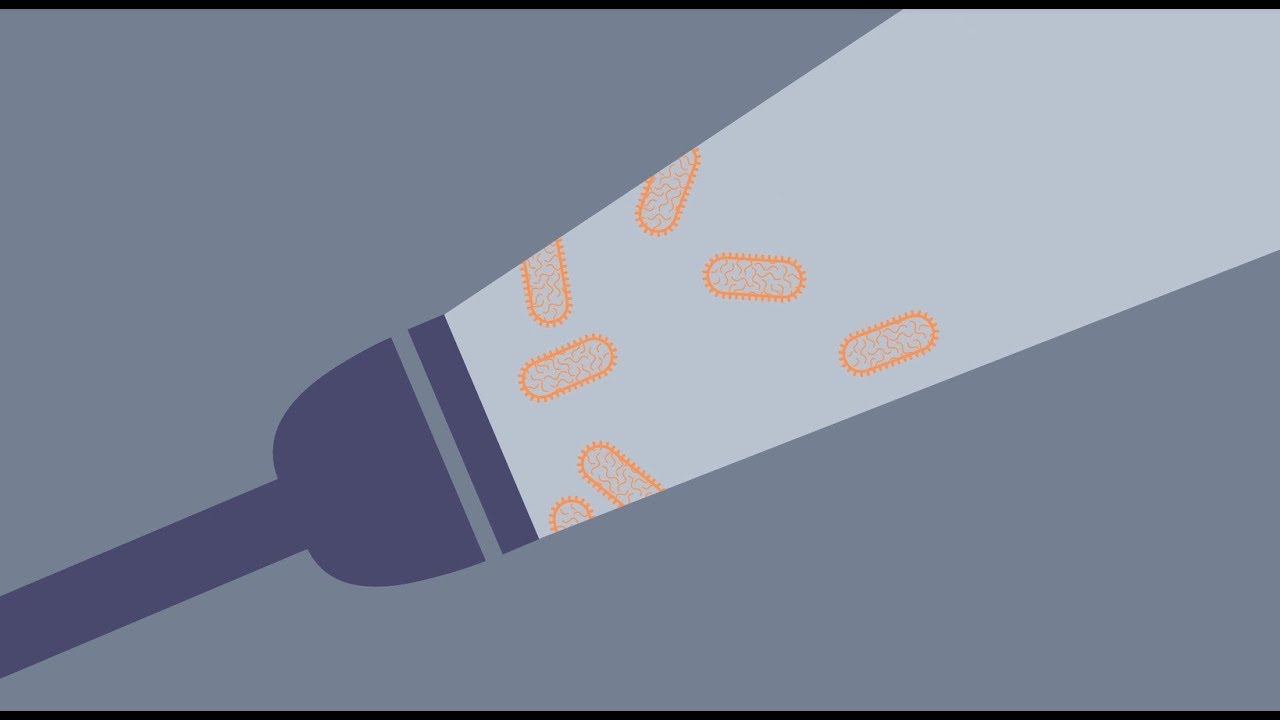Maintaining an effective environmental monitoring program - aseptic technique