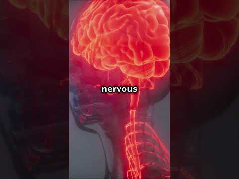 Understanding Neuropsychiatric Lupus: Beyond the Basics #NeuropsychiatricLupus #SystemicLupus #SLE